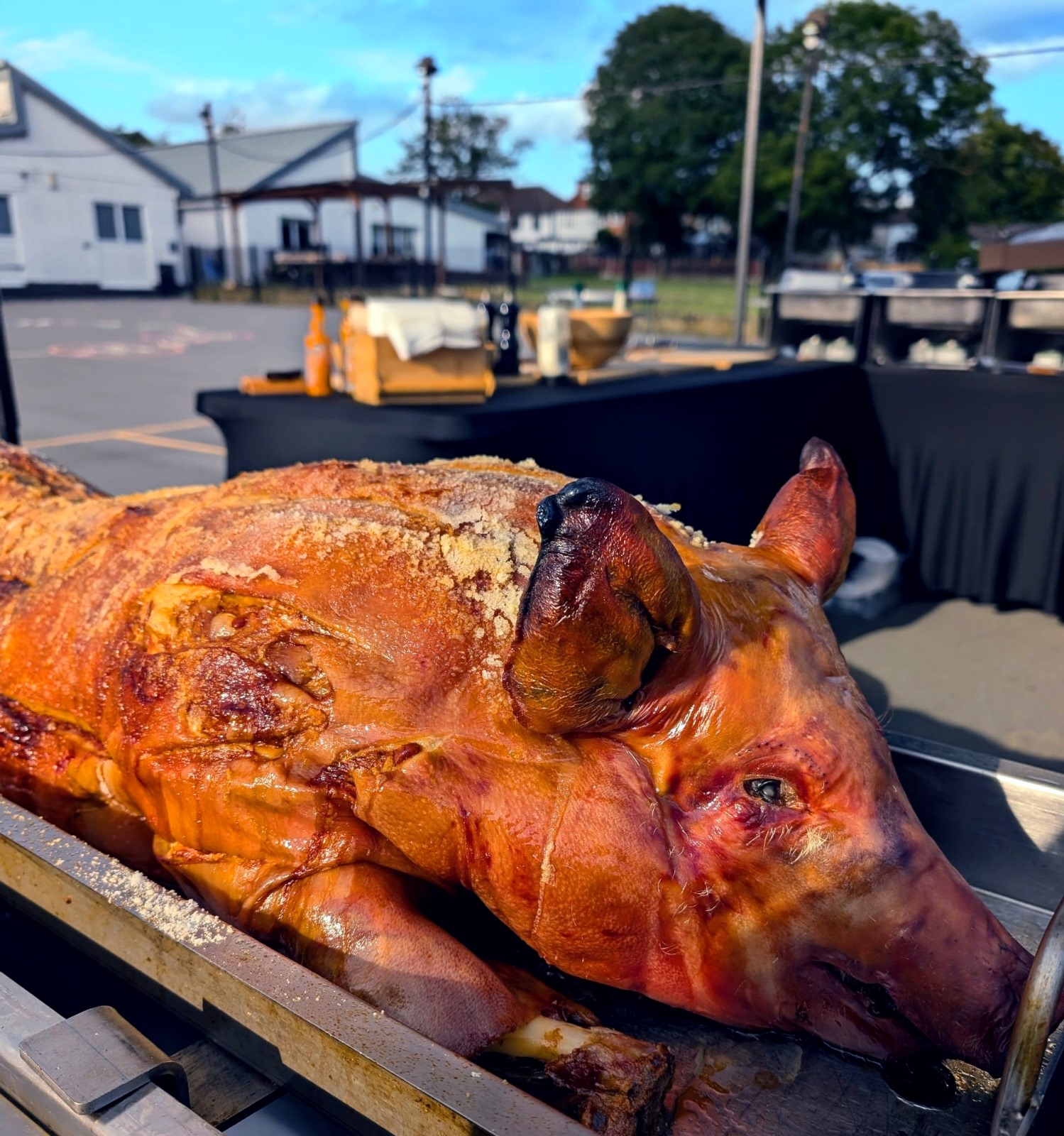 Hog Roast Bangor - Spitting Pig County Antrim